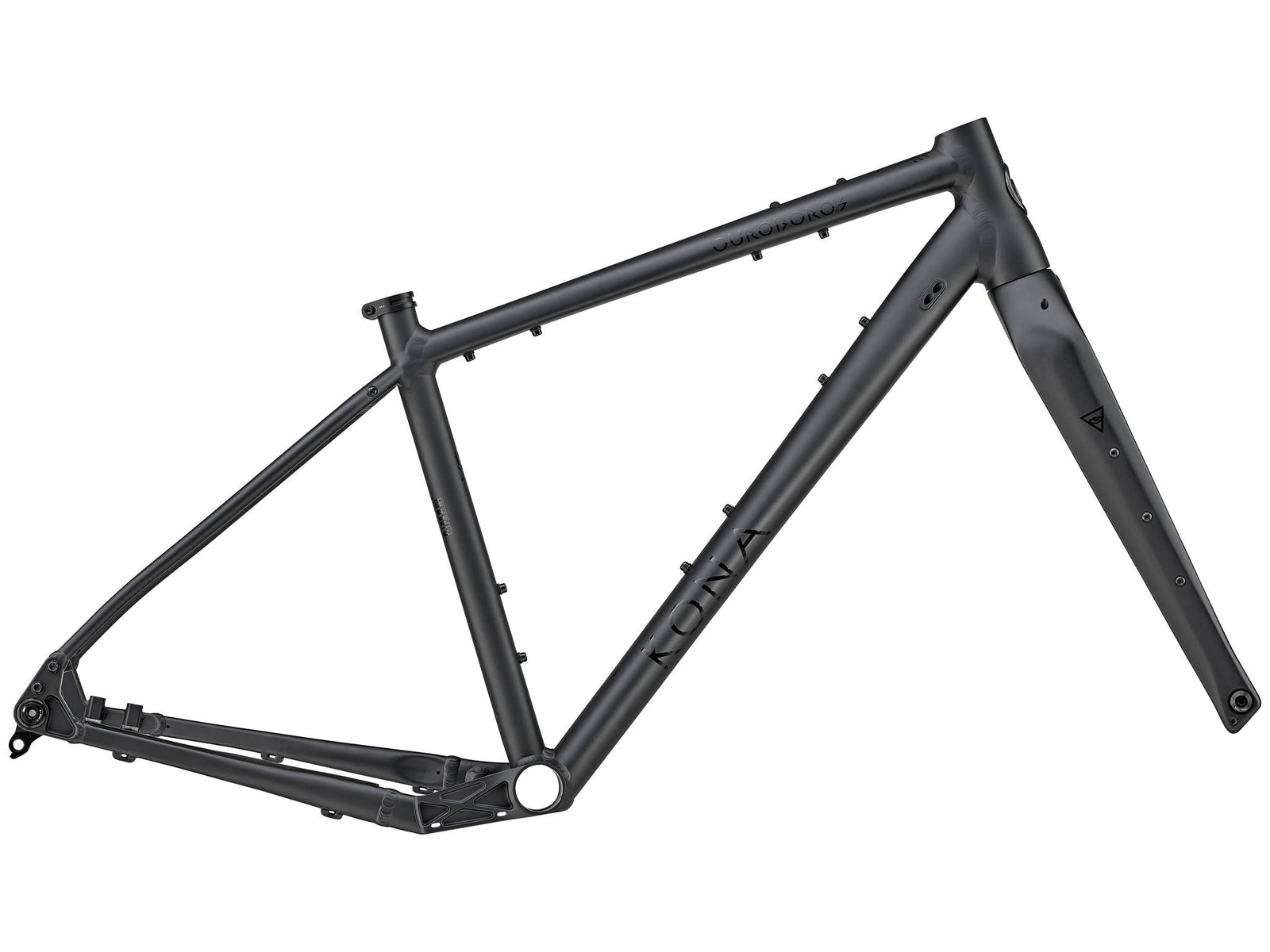 Ouroboros Frame | Kona