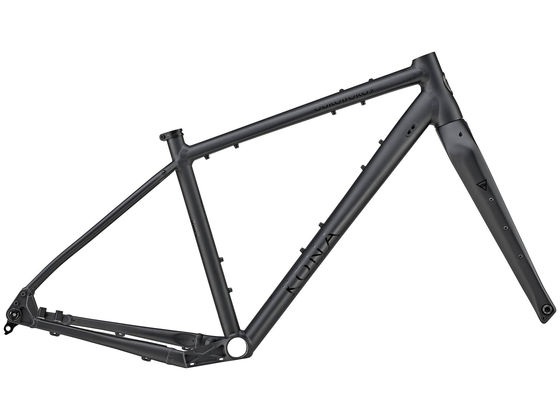 Ouroboros Frame | Kona